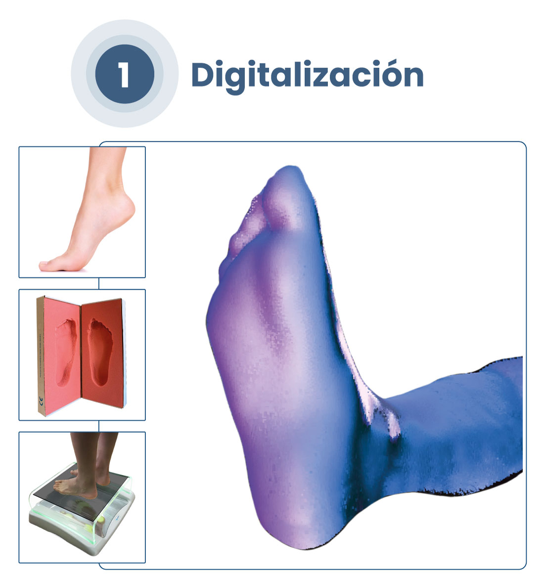 Flexor Scan 3D